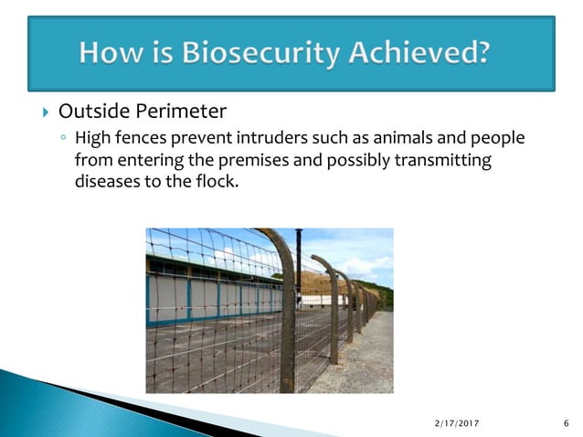 Biosecurity Measures for poultry Farm | PPTX