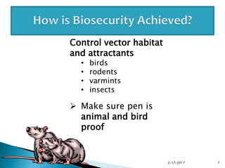 Biosecurity Measures for poultry Farm | PPTX