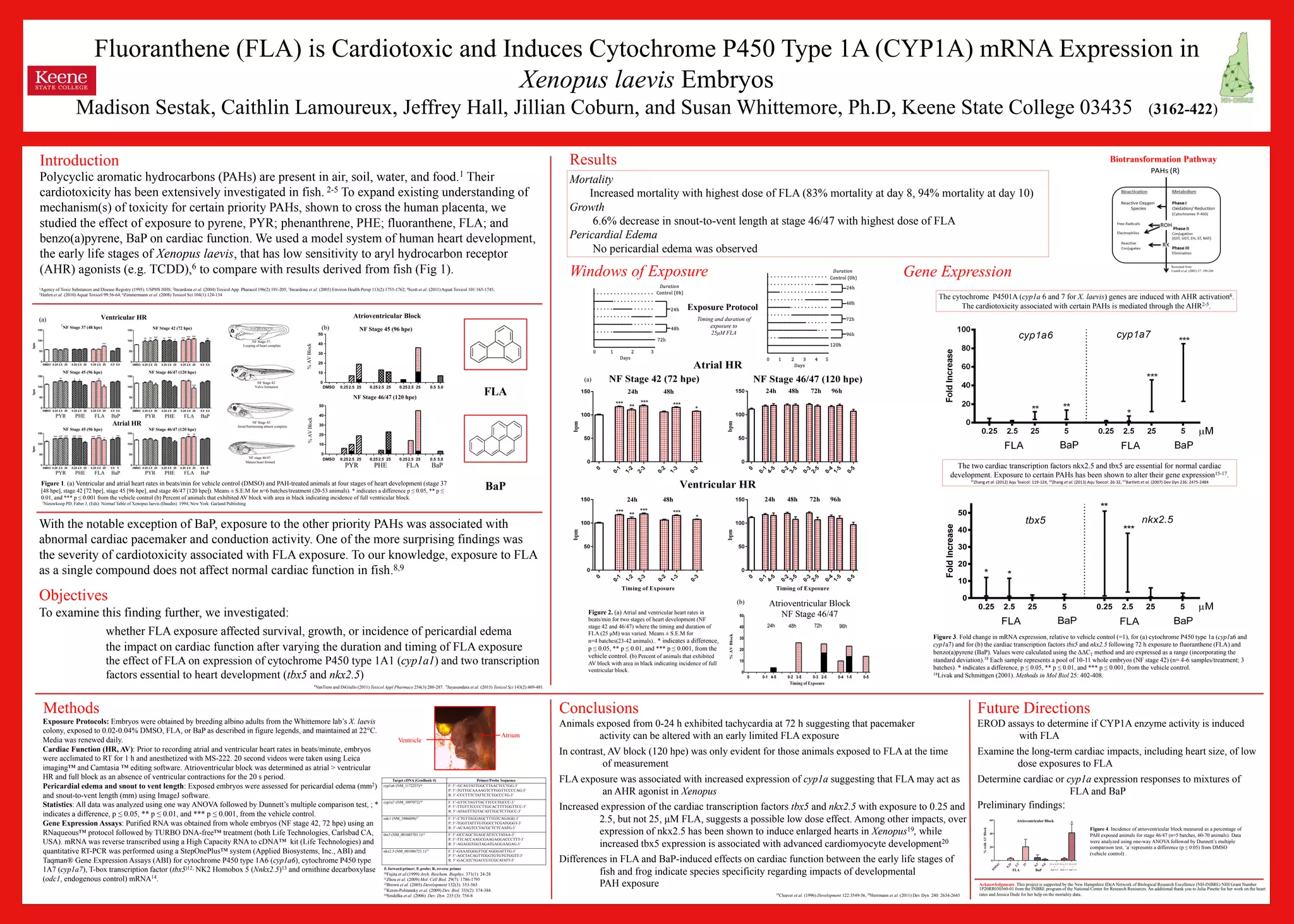 SOT Poster Final 2016 | PPTX