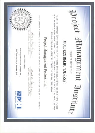 PMP Certificate | PDF