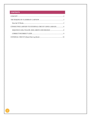 FLASHBRAIN report | PDF