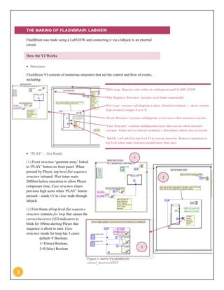 FLASHBRAIN report | PDF