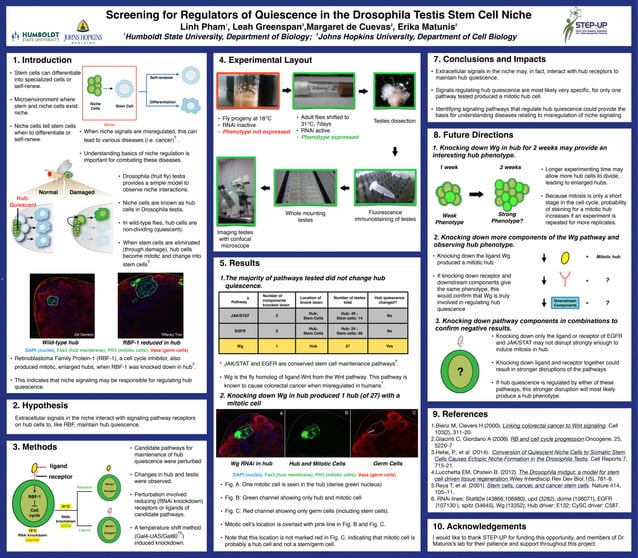 STEP_UP poster test 8 | PPT