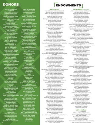 Dccf report to the public 2019 | PDF