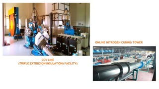 DC Company Profile Rough.pptx