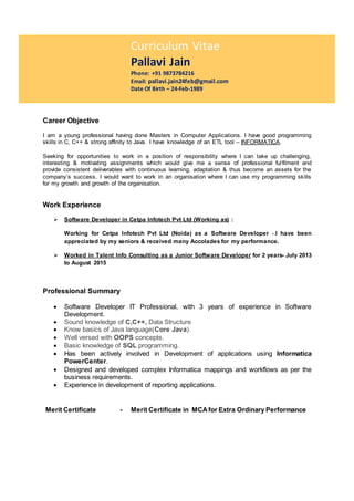 CV - Developer | DOCX