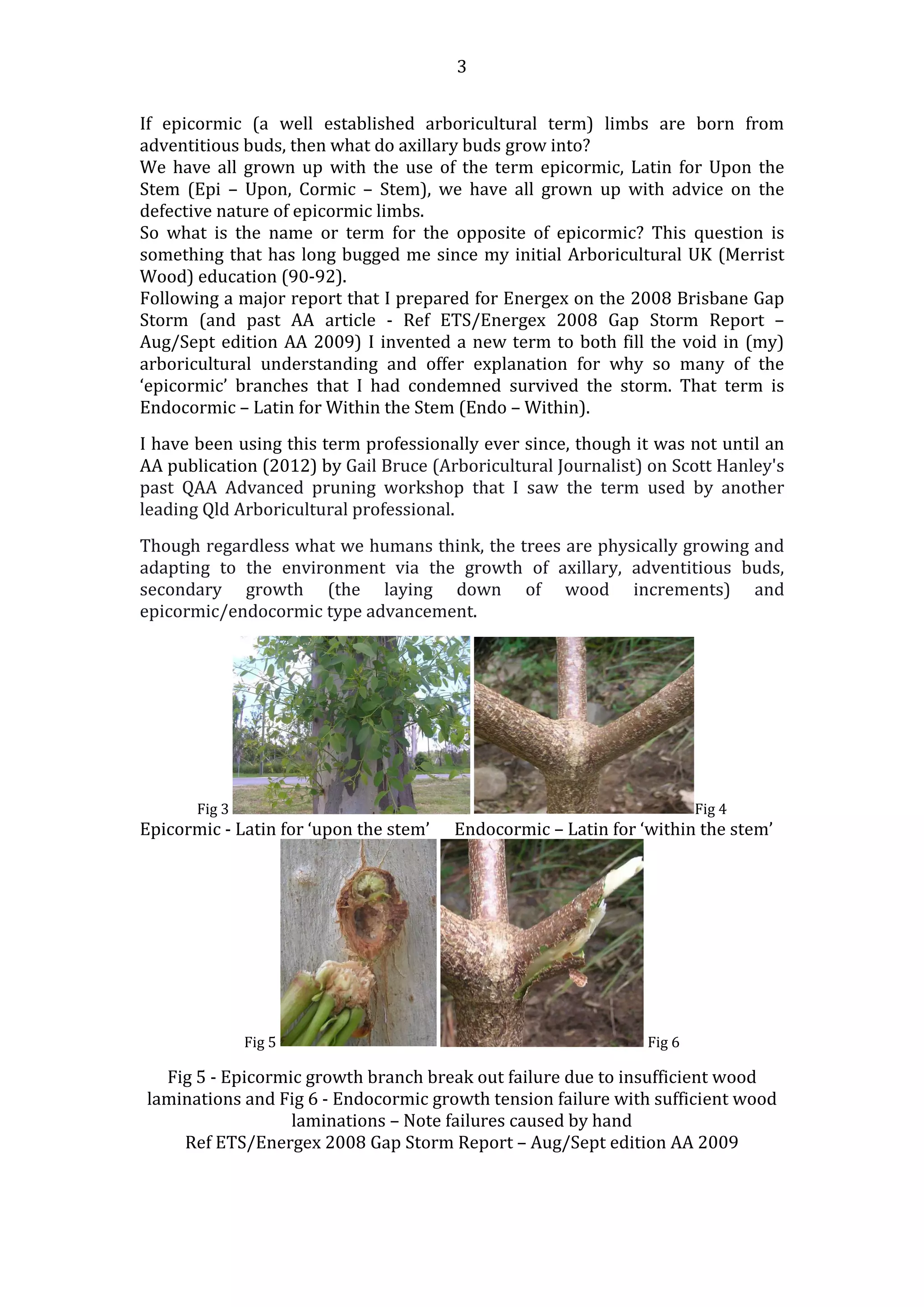 Veteran tree risk management via RNE - Part 1 Background | PDF