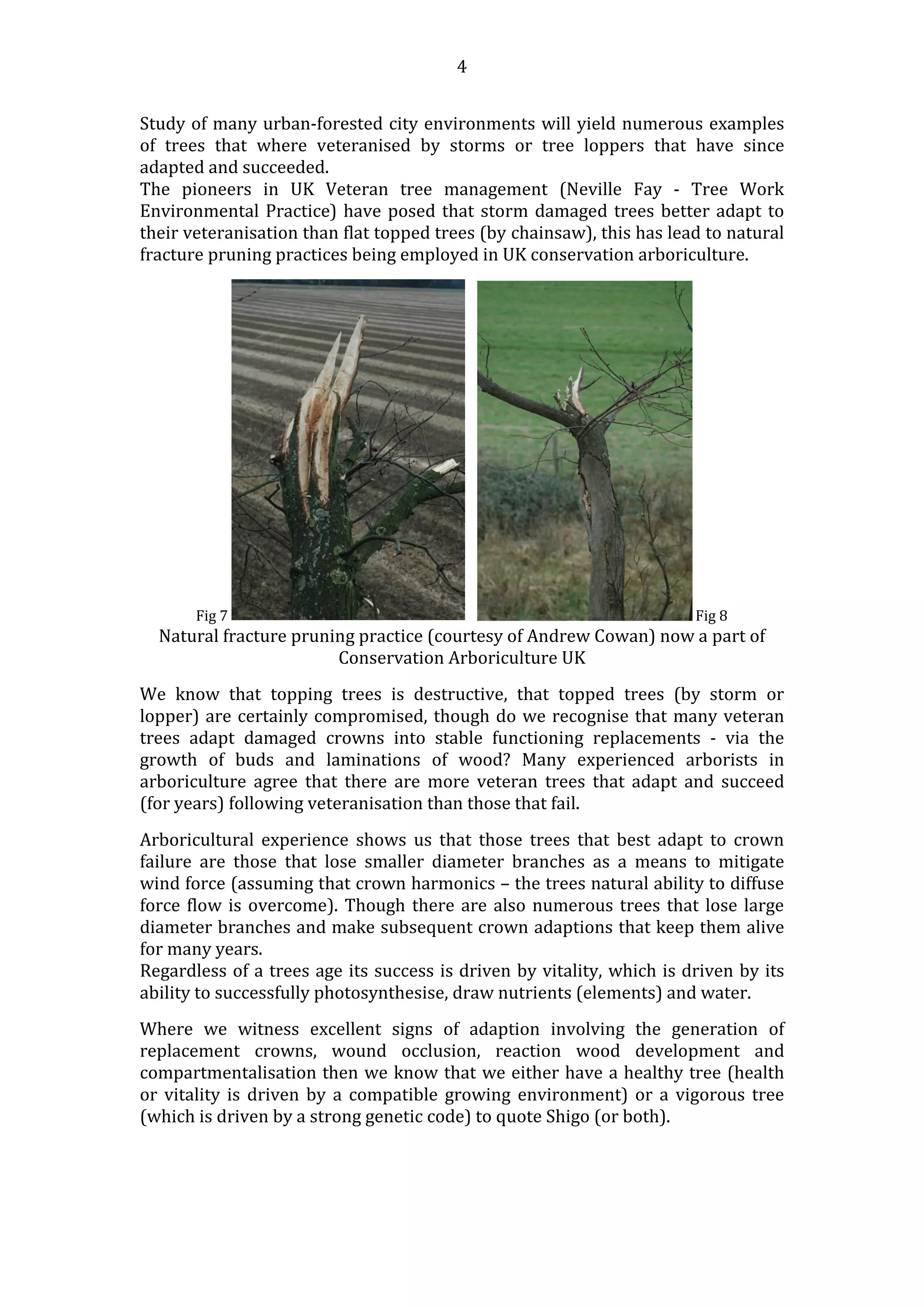 Veteran tree risk management via RNE - Part 1 Background | PDF