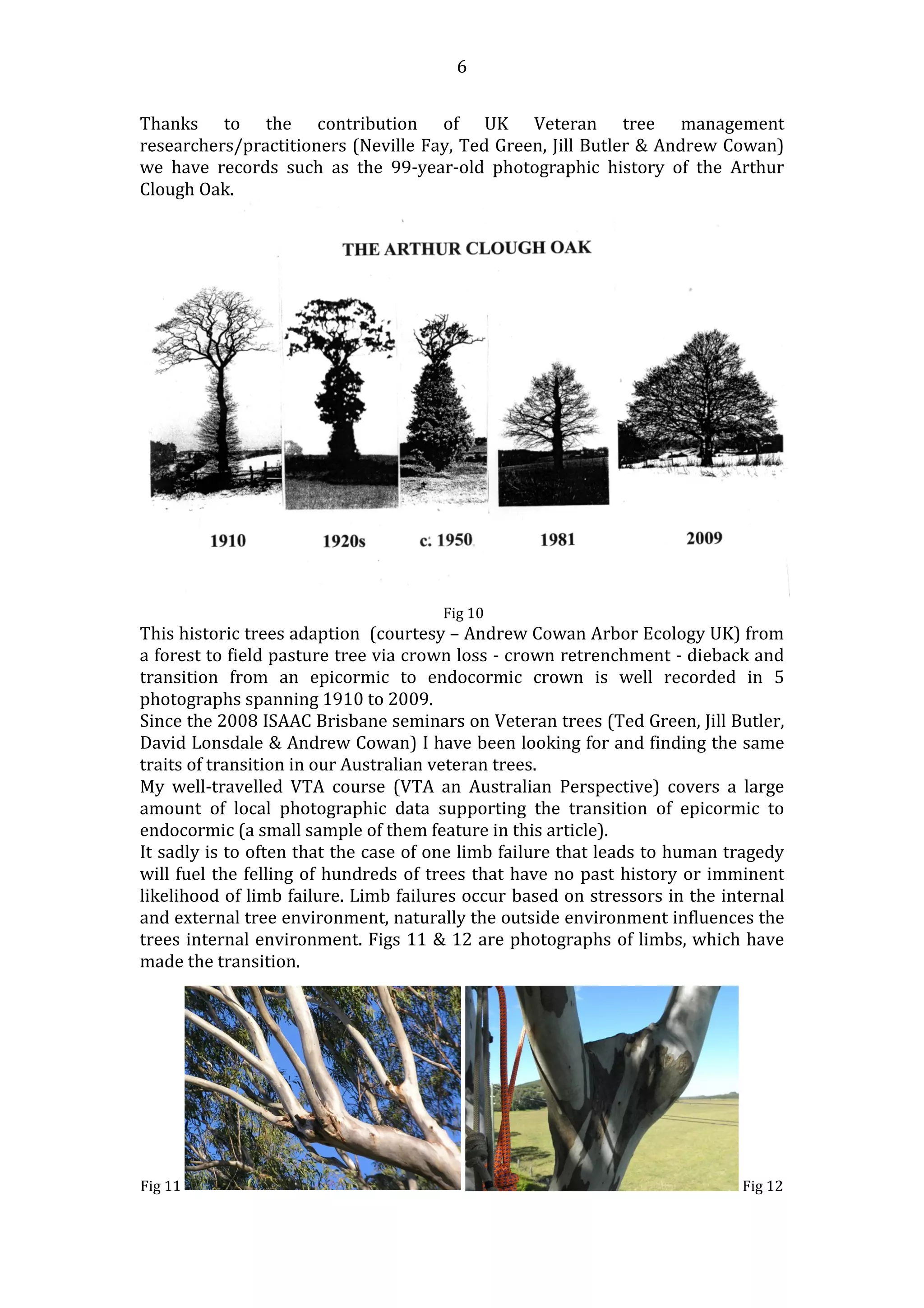 Veteran tree risk management via RNE - Part 1 Background | PDF