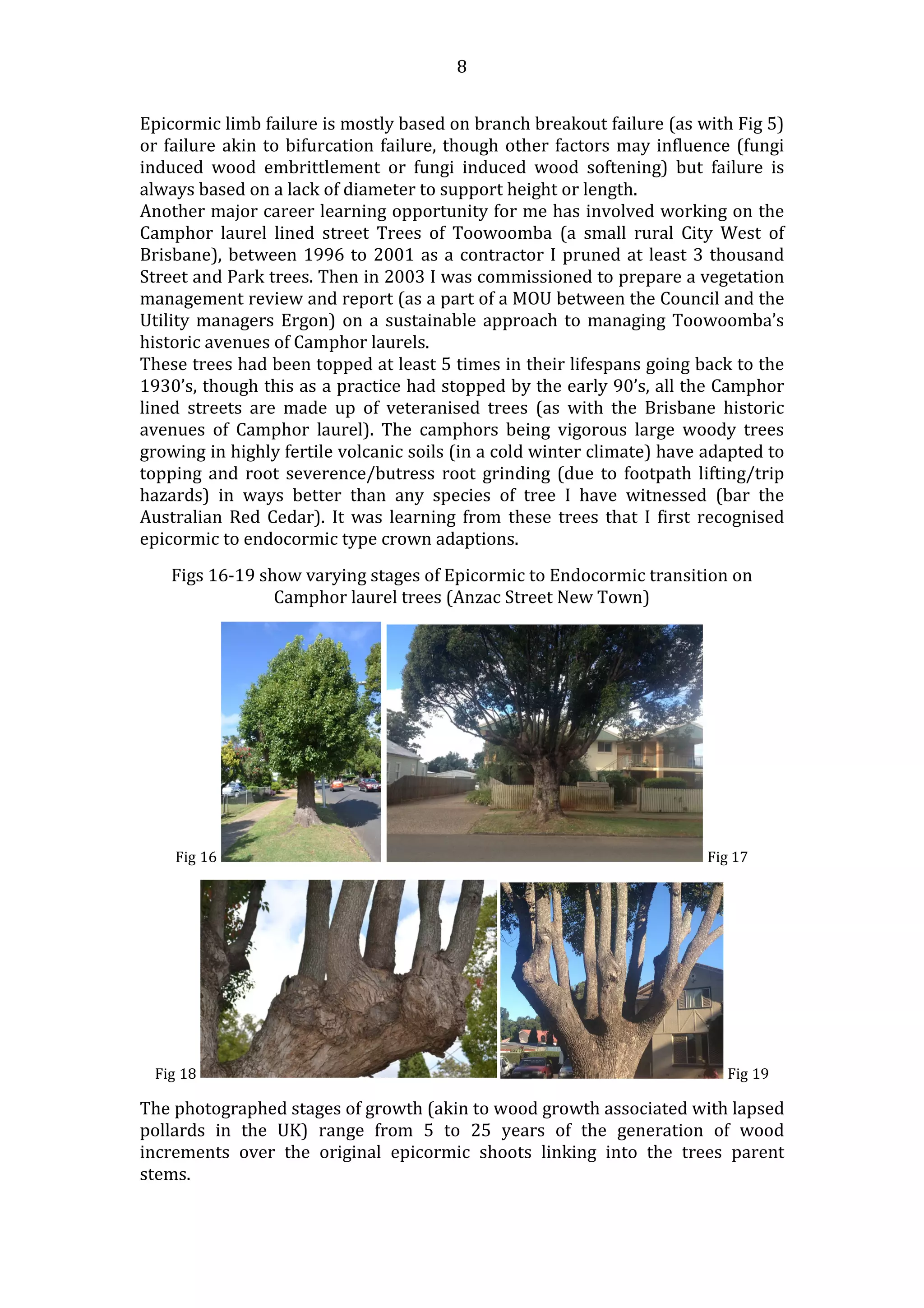 Veteran tree risk management via RNE - Part 1 Background | PDF