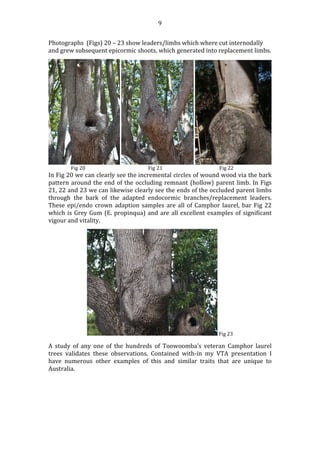 Veteran tree risk management via RNE - Part 1 Background | PDF