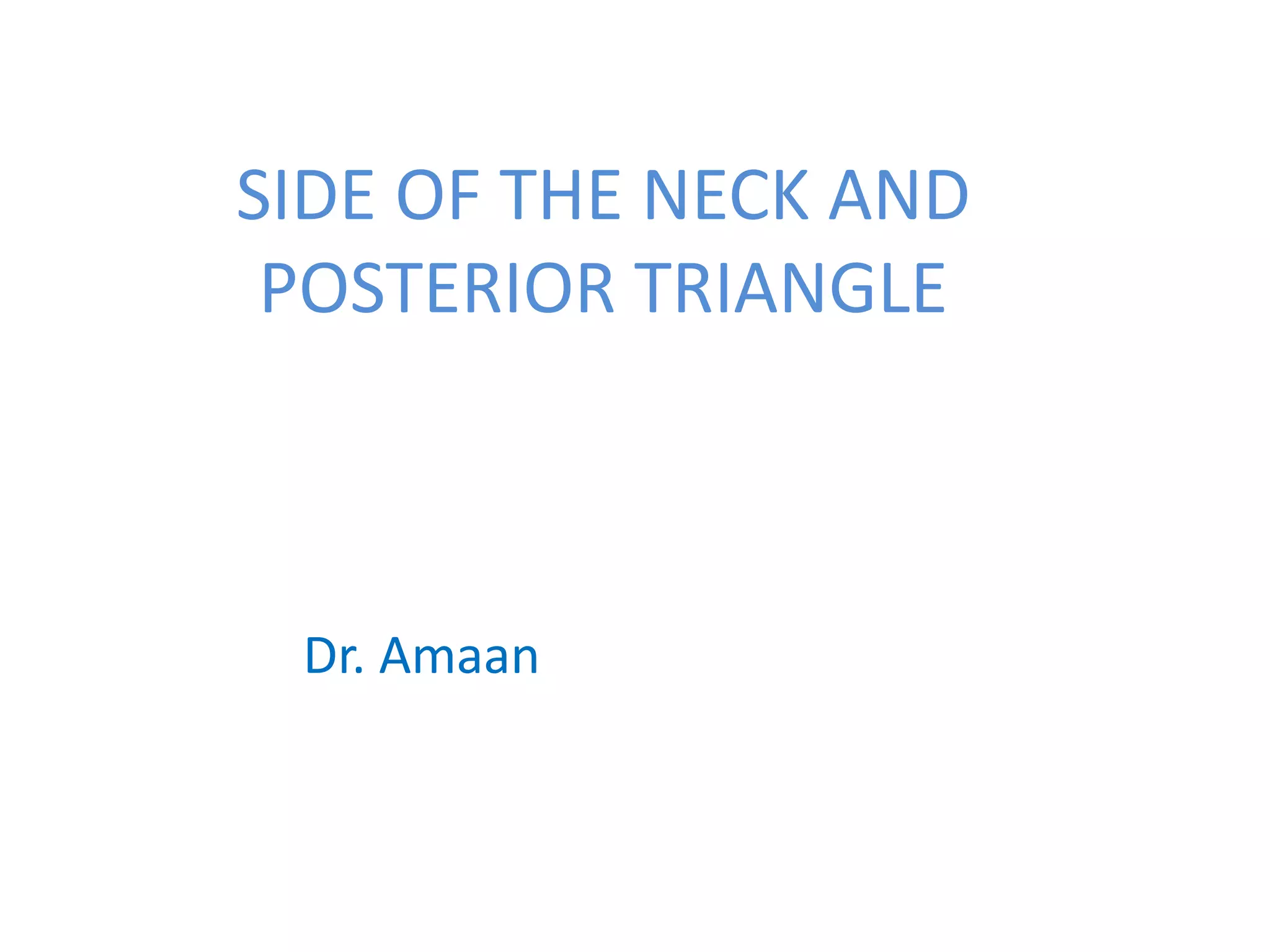 Deep cervical fascia and post triangle of neck anatomy | PPTX