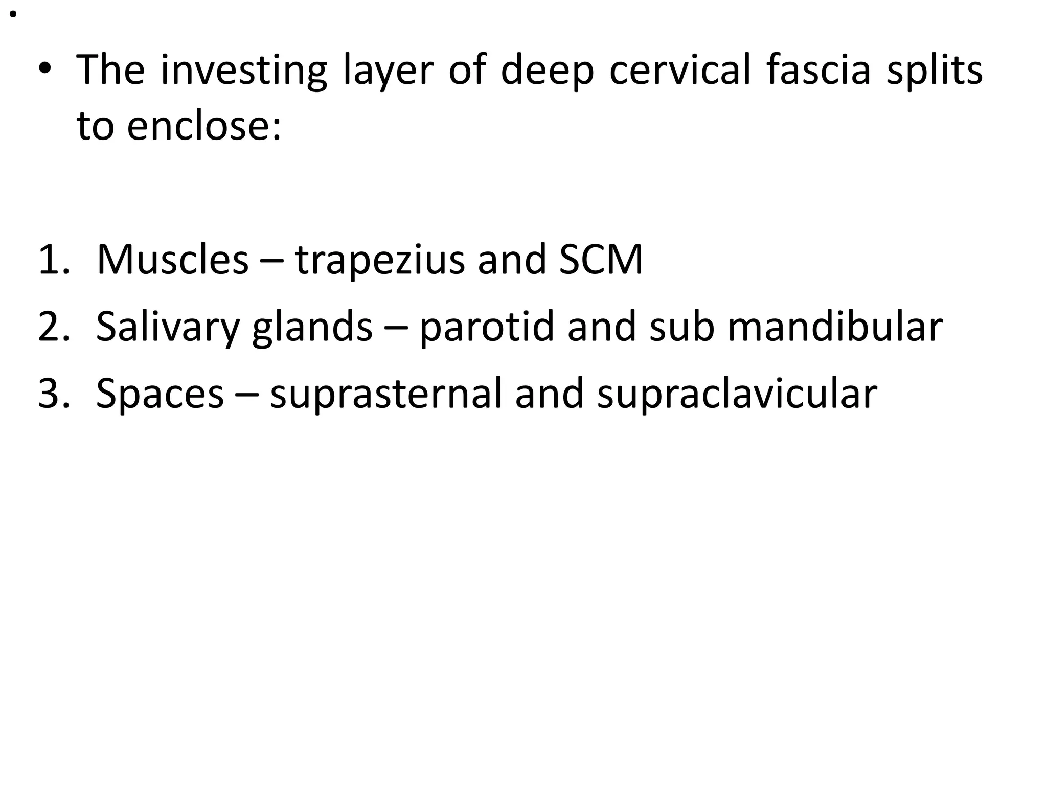 Deep cervical fascia and post triangle of neck anatomy | PPTX