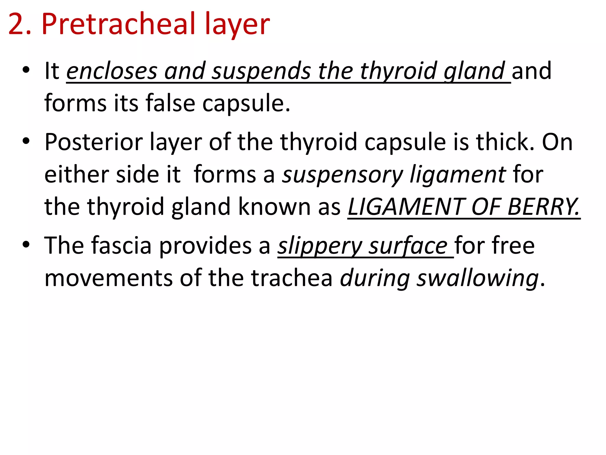 Deep cervical fascia and post triangle of neck anatomy | PPT