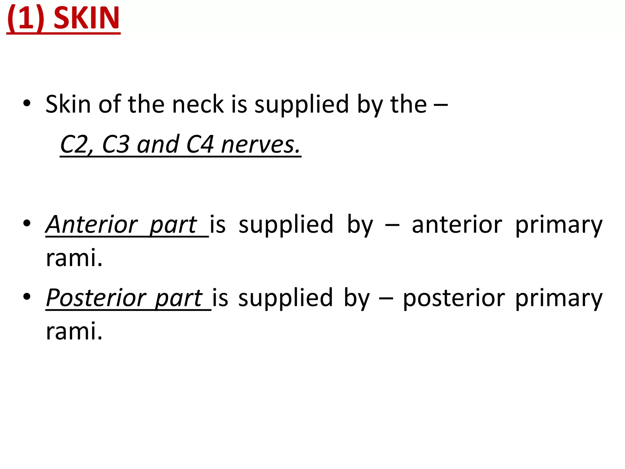 Deep cervical fascia and post triangle of neck anatomy | PPTX