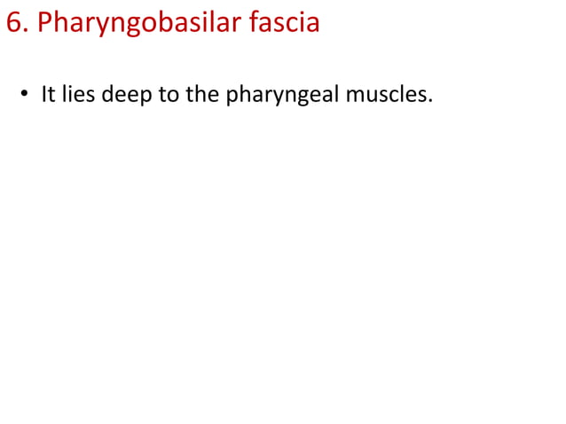 Deep cervical fascia and post triangle of neck anatomy | PPT