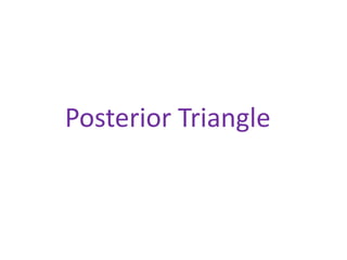 Deep cervical fascia and post triangle of neck anatomy | PPTX