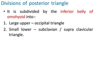 Deep cervical fascia and post triangle of neck anatomy | PPT