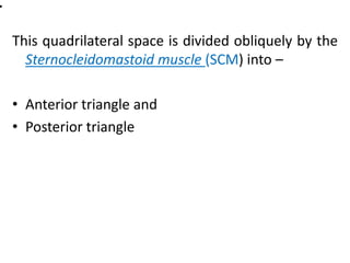 Deep cervical fascia and post triangle of neck anatomy | PPT