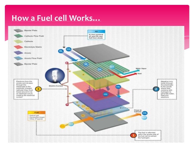 DIRECT CARBON FUEL CELLS
