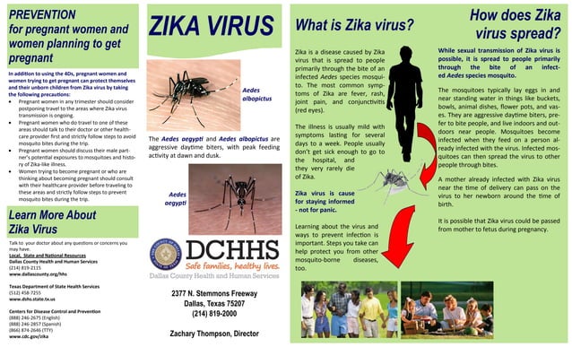 Dchhs zika virus_brochure_feb2016_english | PPT