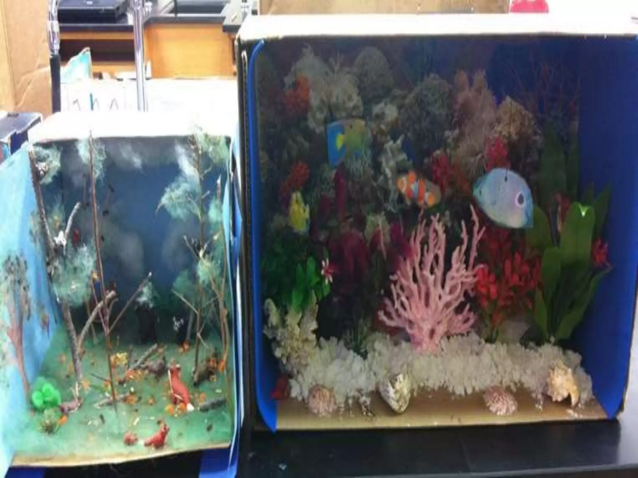 AP Biology Biome Dioramas | PPT