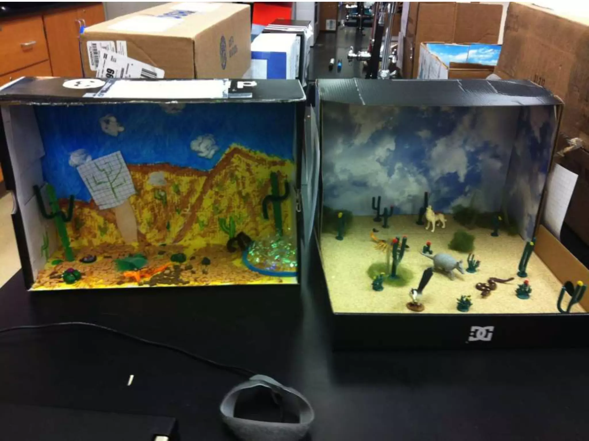 AP Biology Biome Dioramas | PPT