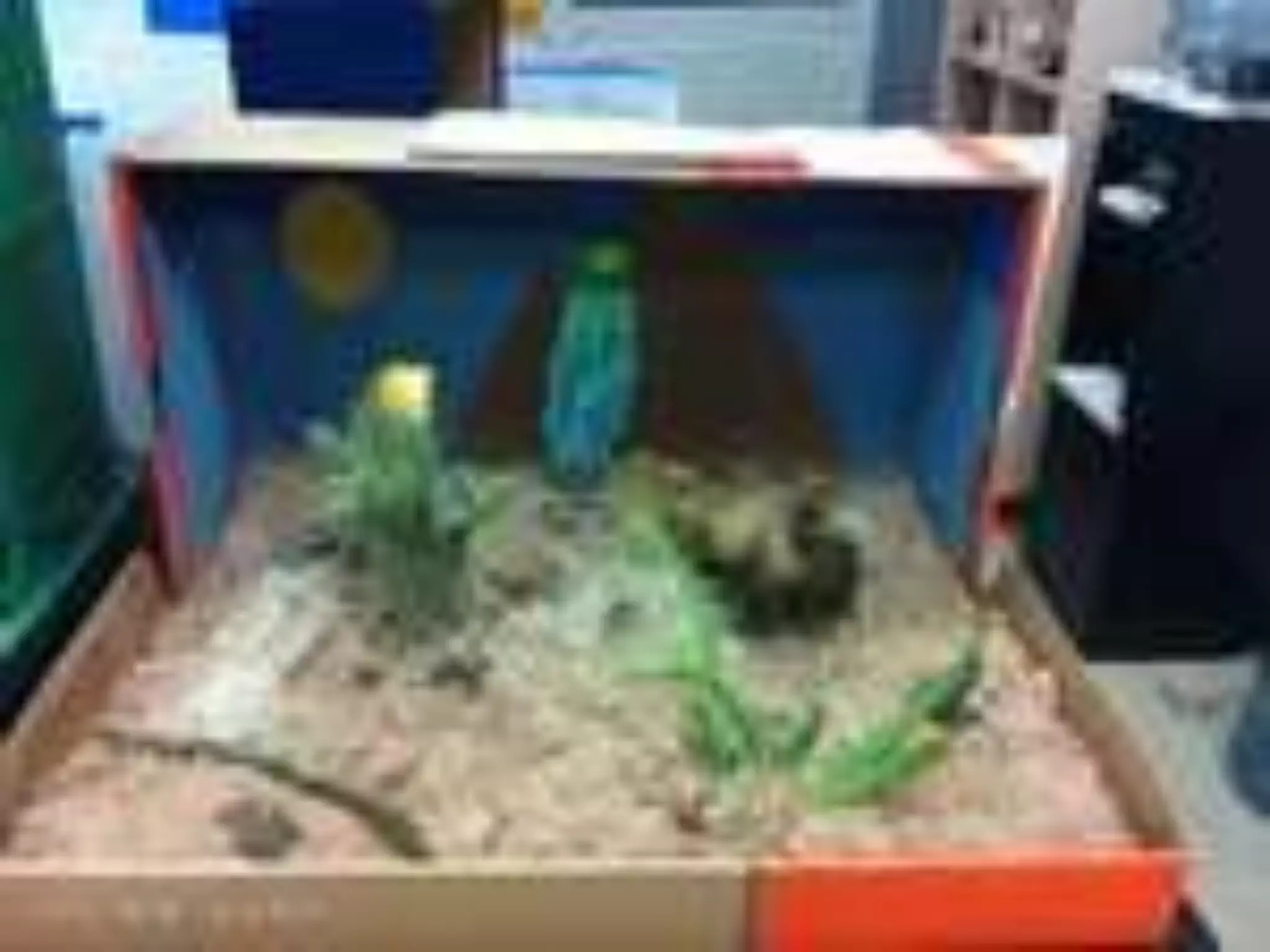 AP Biology Biome Dioramas | PPT