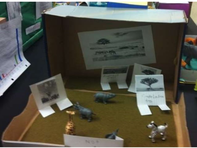 AP Biology Biome Dioramas | PPT
