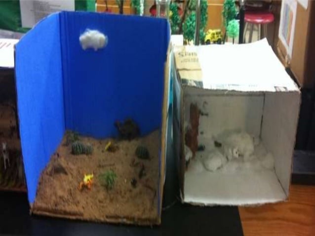 AP Biology Biome Dioramas | PPT