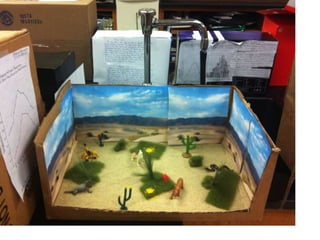 AP Biology Biome Dioramas | PPT