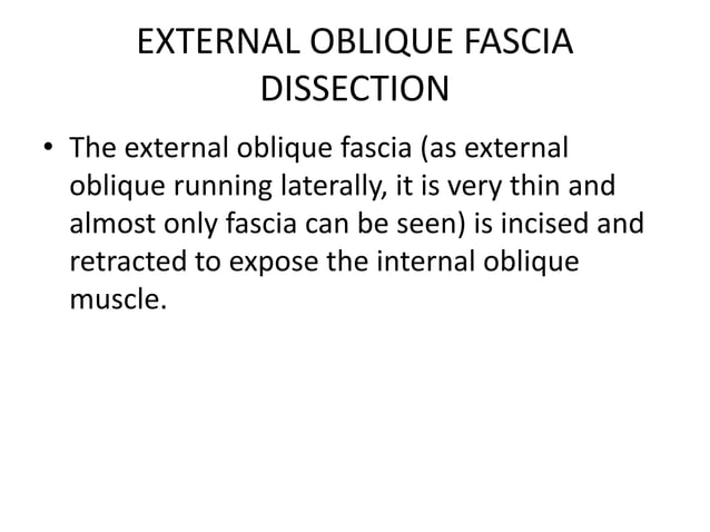 Deep circumflex iliac artery flap | PPTX