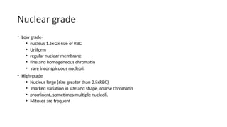Ductal carcinoma in situ of breast - classification and management | PPTX