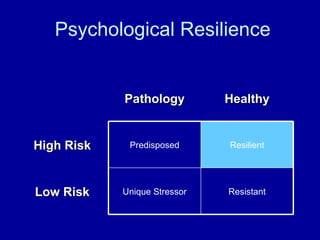 Marine Corps COSC_Resilience Scale 2008 | PPT