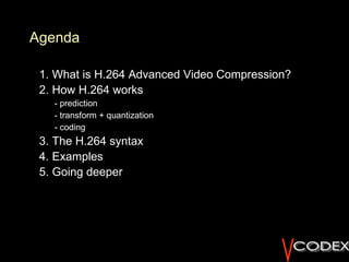 Introduction to H.264 Advanced Video Compression | PPT