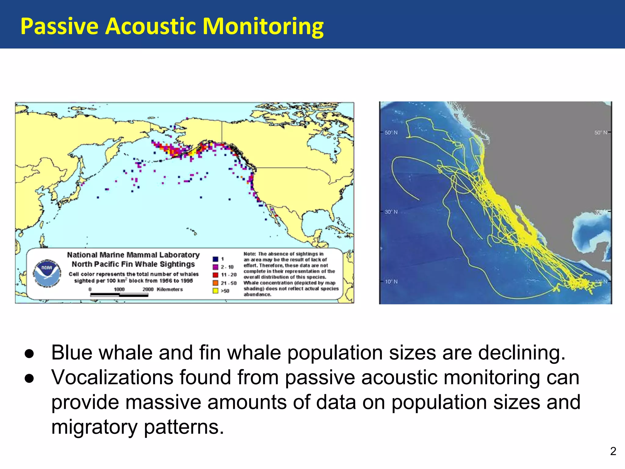 Classification of blue whale D calls and fin whale 40-Hz calls using ...