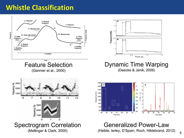 Classification of blue whale D calls and fin whale 40-Hz calls using ...