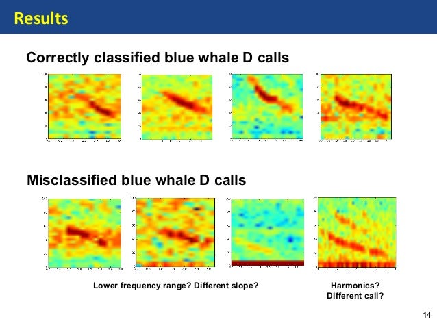 Classification of blue whale D calls and fin whale 40-Hz calls using