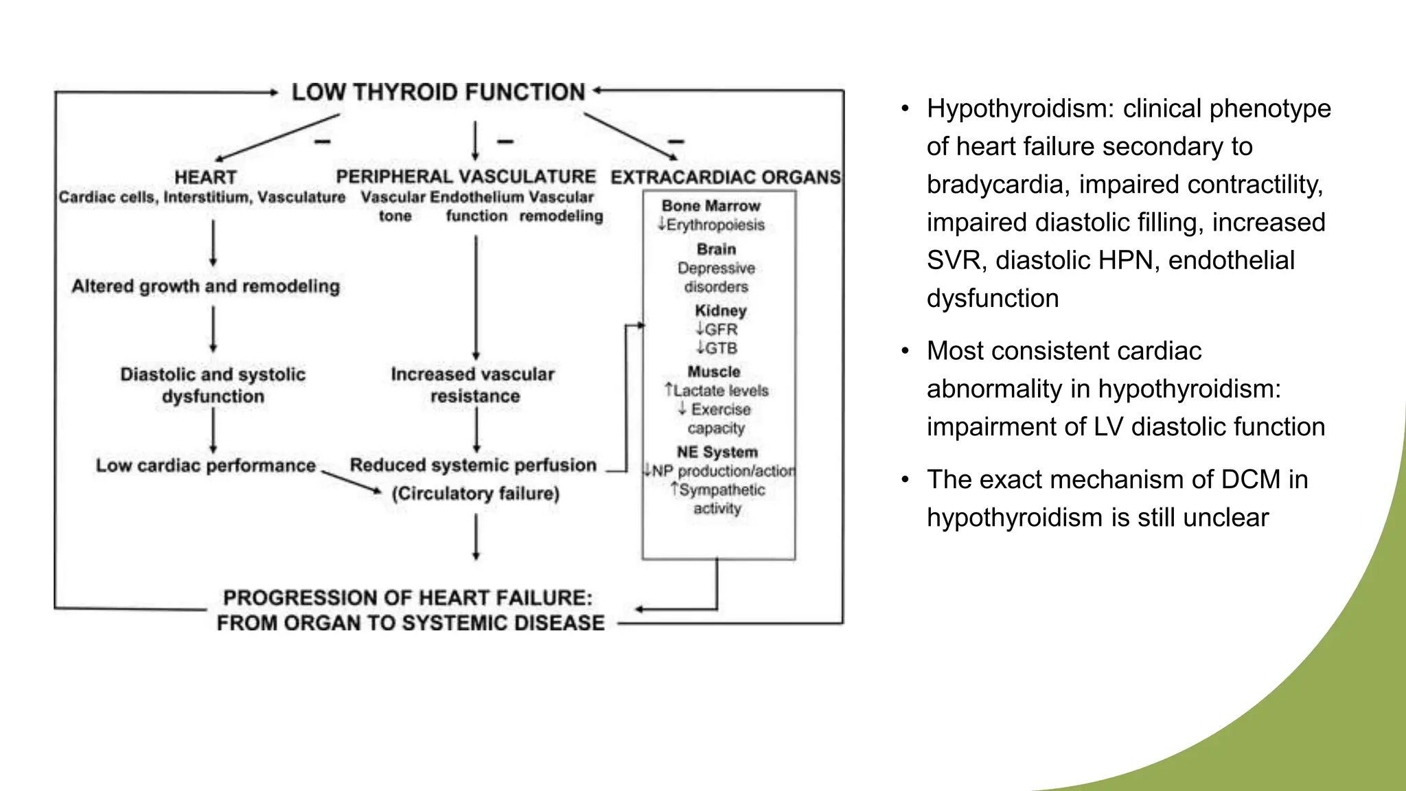 DCM hypothyroidism .pptx
