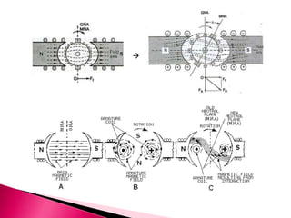 Dc motor- load characteristics | PPTX