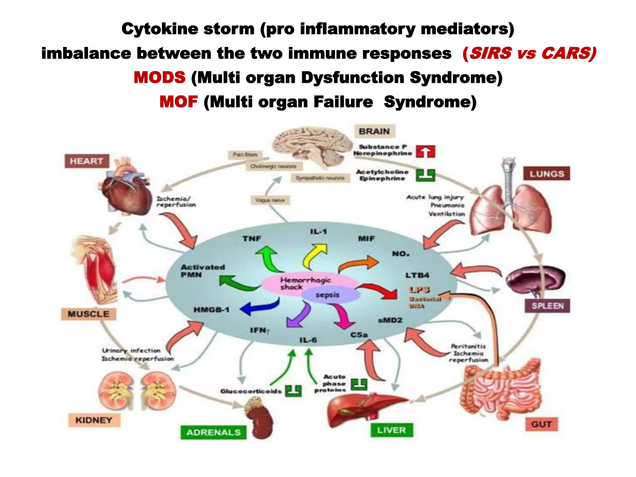 Damage Control Orthopaedics (DCO) | PPTX