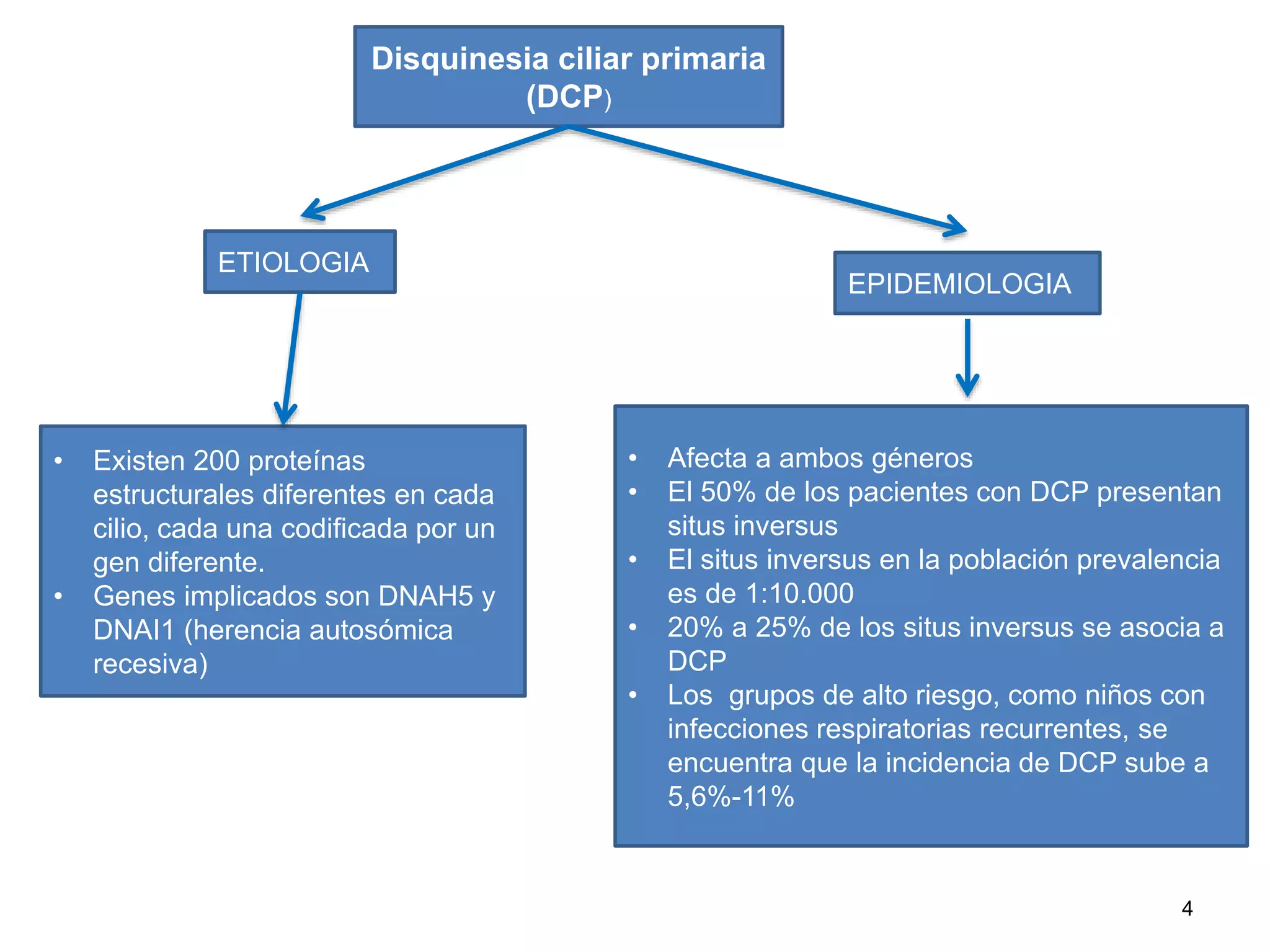 Discinesia ciliar primaria DCP | PPTX | Ear, Nose and Throat Conditions ...