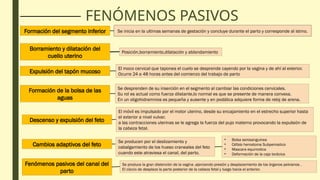 DCP caso clinico.pRESENTACION DE DCP MATERNO | PPTX