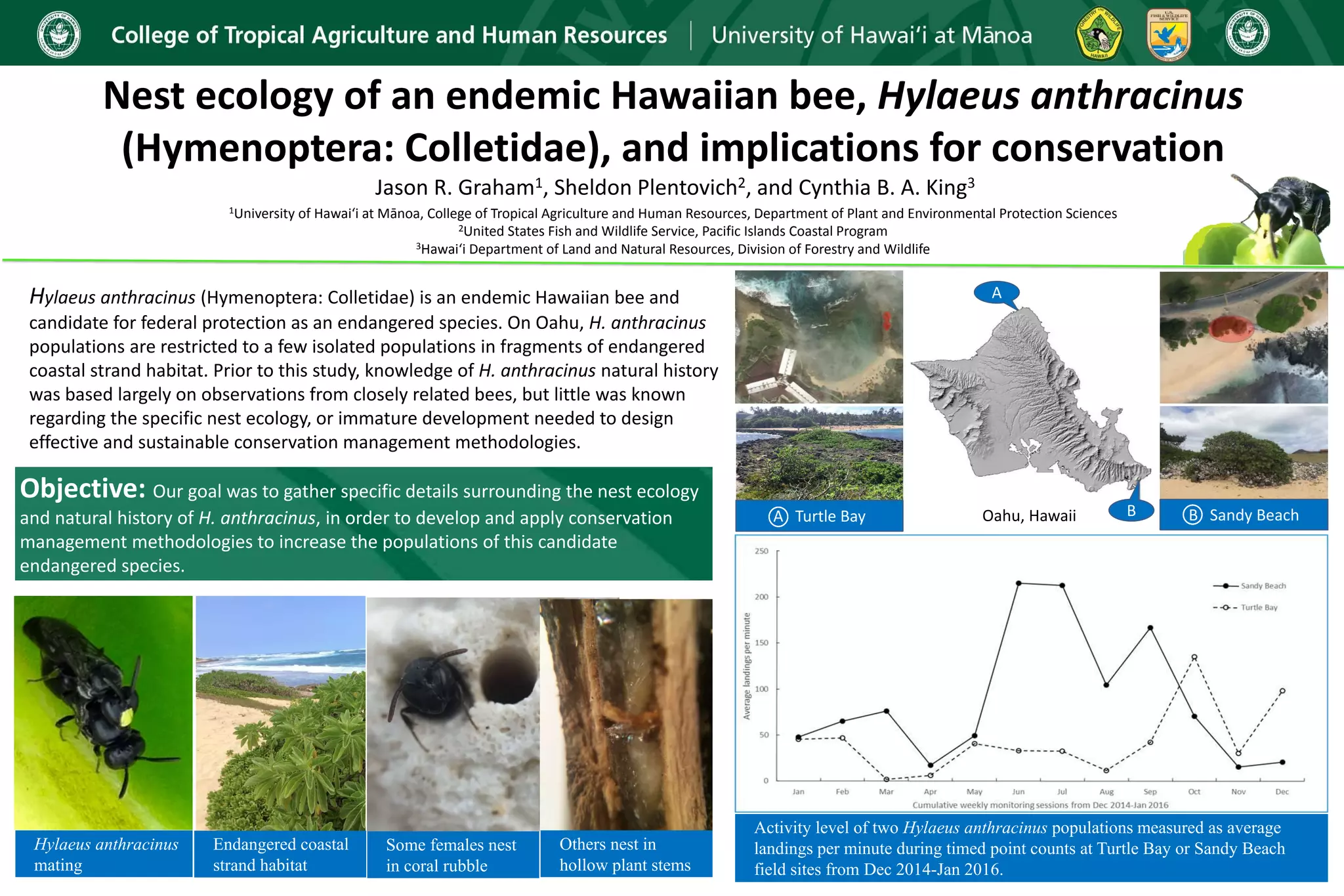 Nest ecology of an endemic Hawaiian bee, Hylaeus anthracinus ...