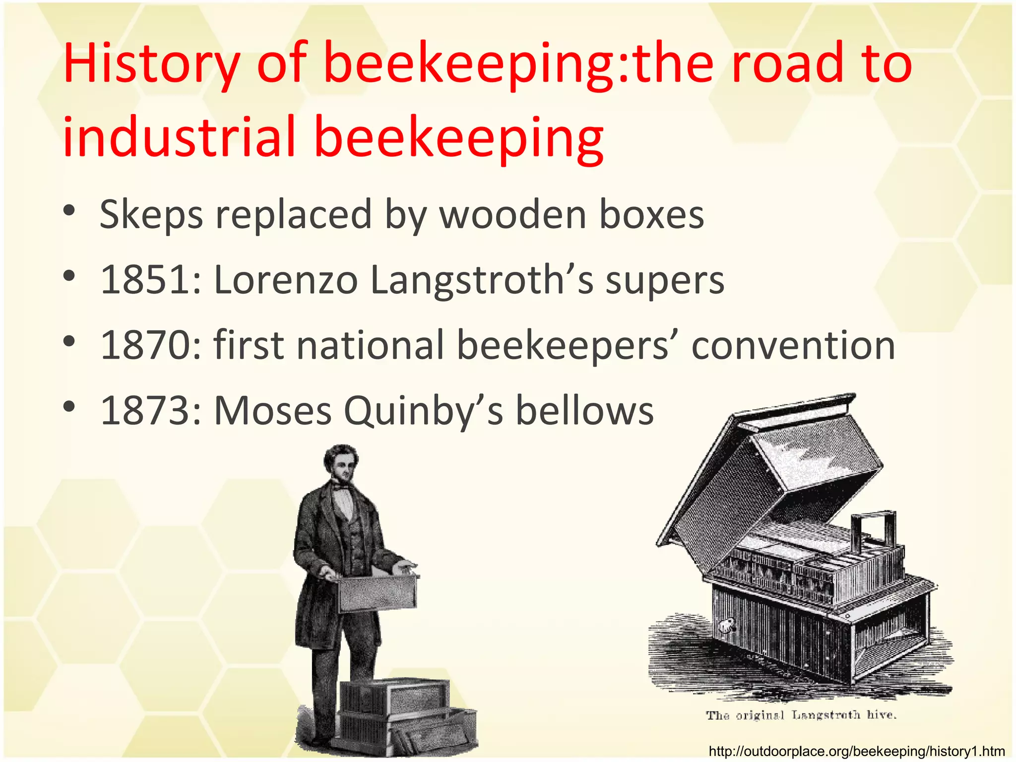 Apiculture Bee keeping | PPT