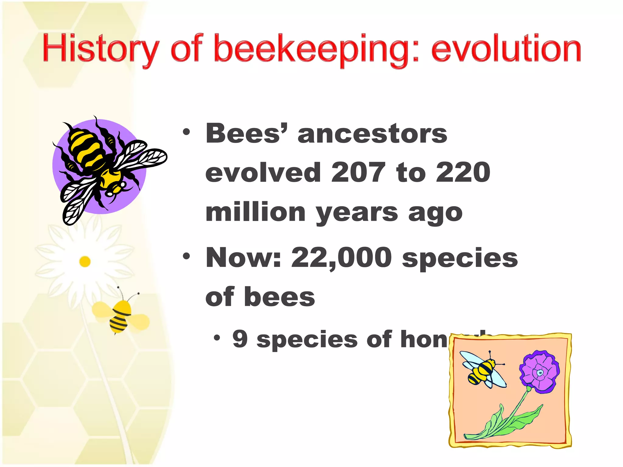 Apiculture Bee keeping | PPT
