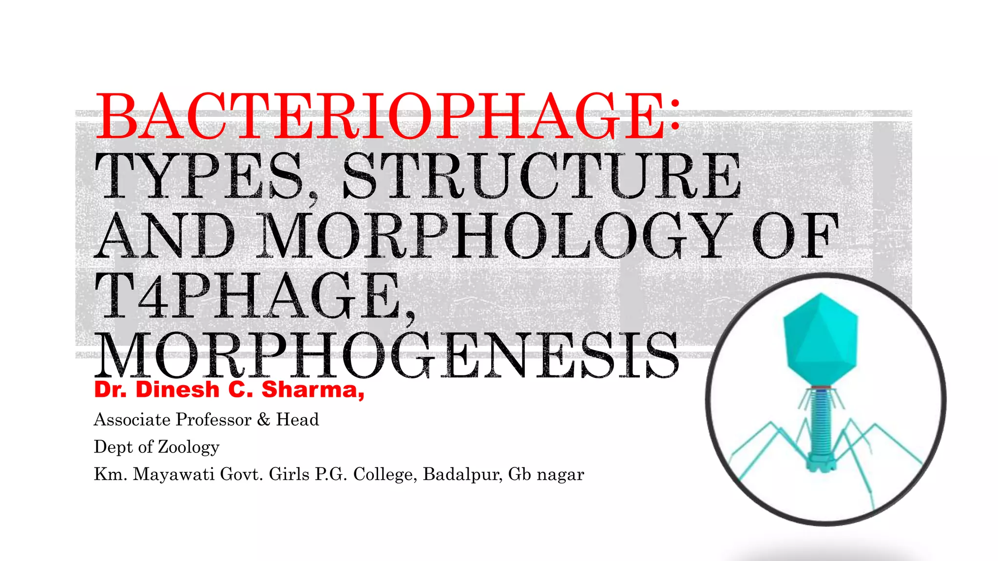 Bacteriophage- types, structure and morphology of t4 phage ...