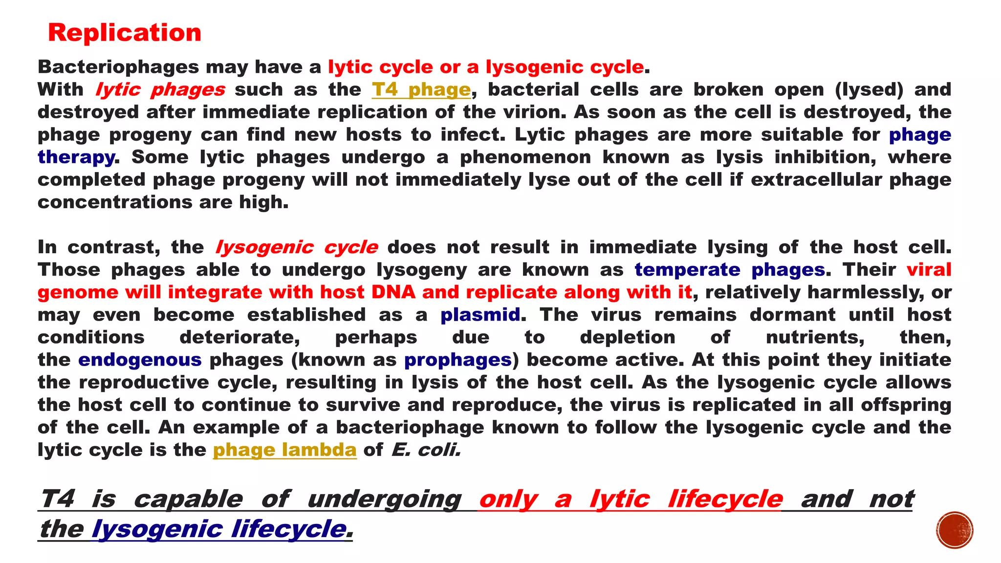 Bacteriophage- types, structure and morphology of t4 phage ...