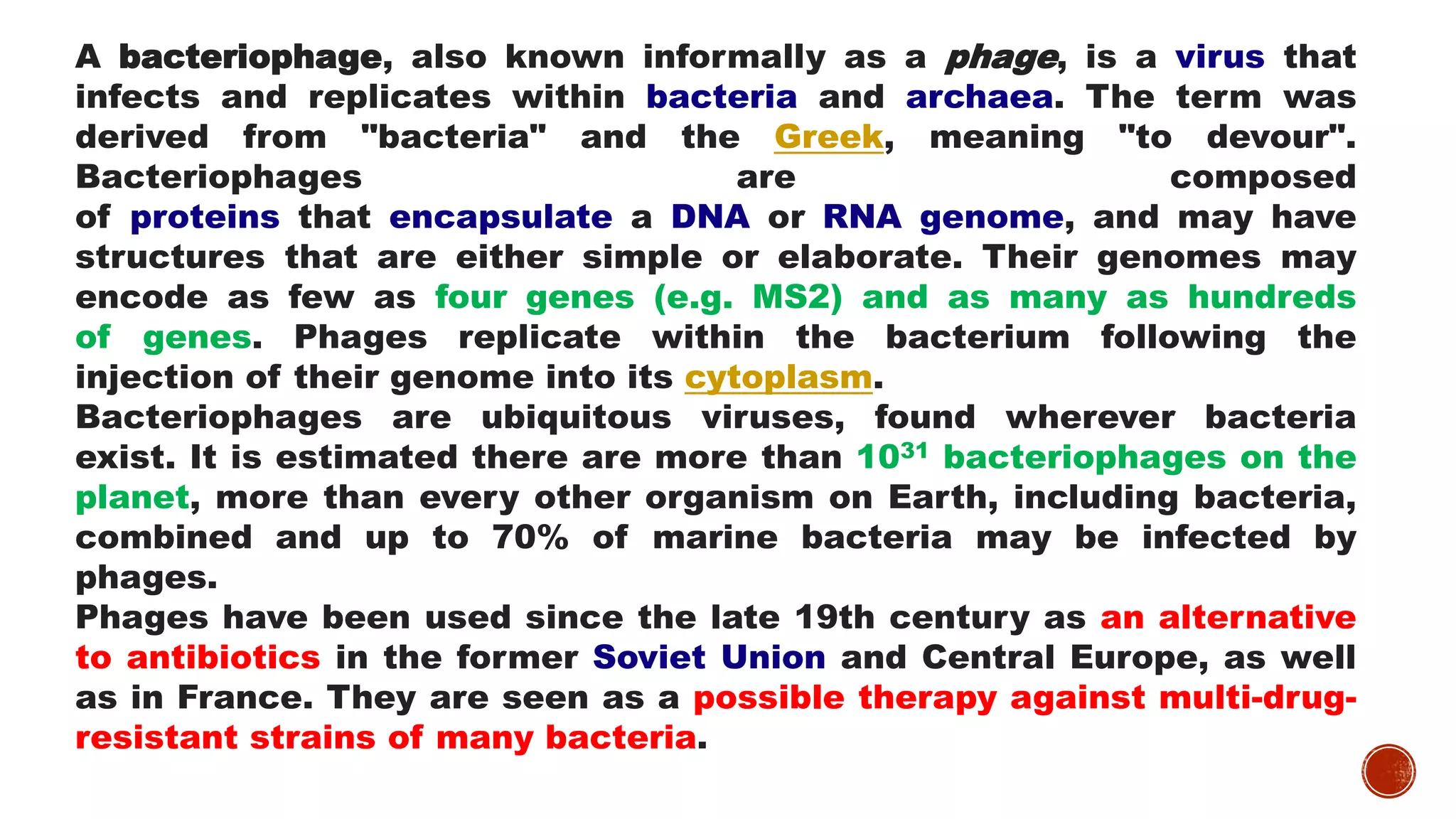 Bacteriophage- types, structure and morphology of t4 phage ...