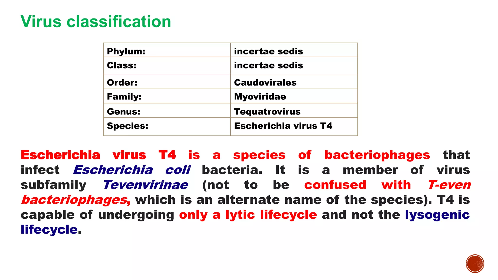 Bacteriophage- types, structure and morphology of t4 phage ...